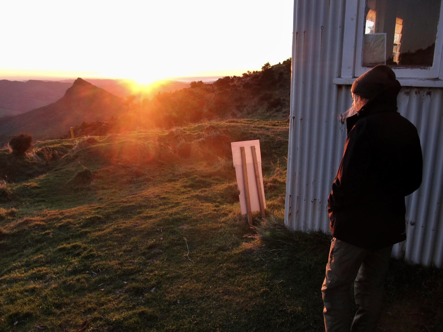 Mount Hikurangi – Ruakumara Forest Park (Stragglers, Stunning Views ...