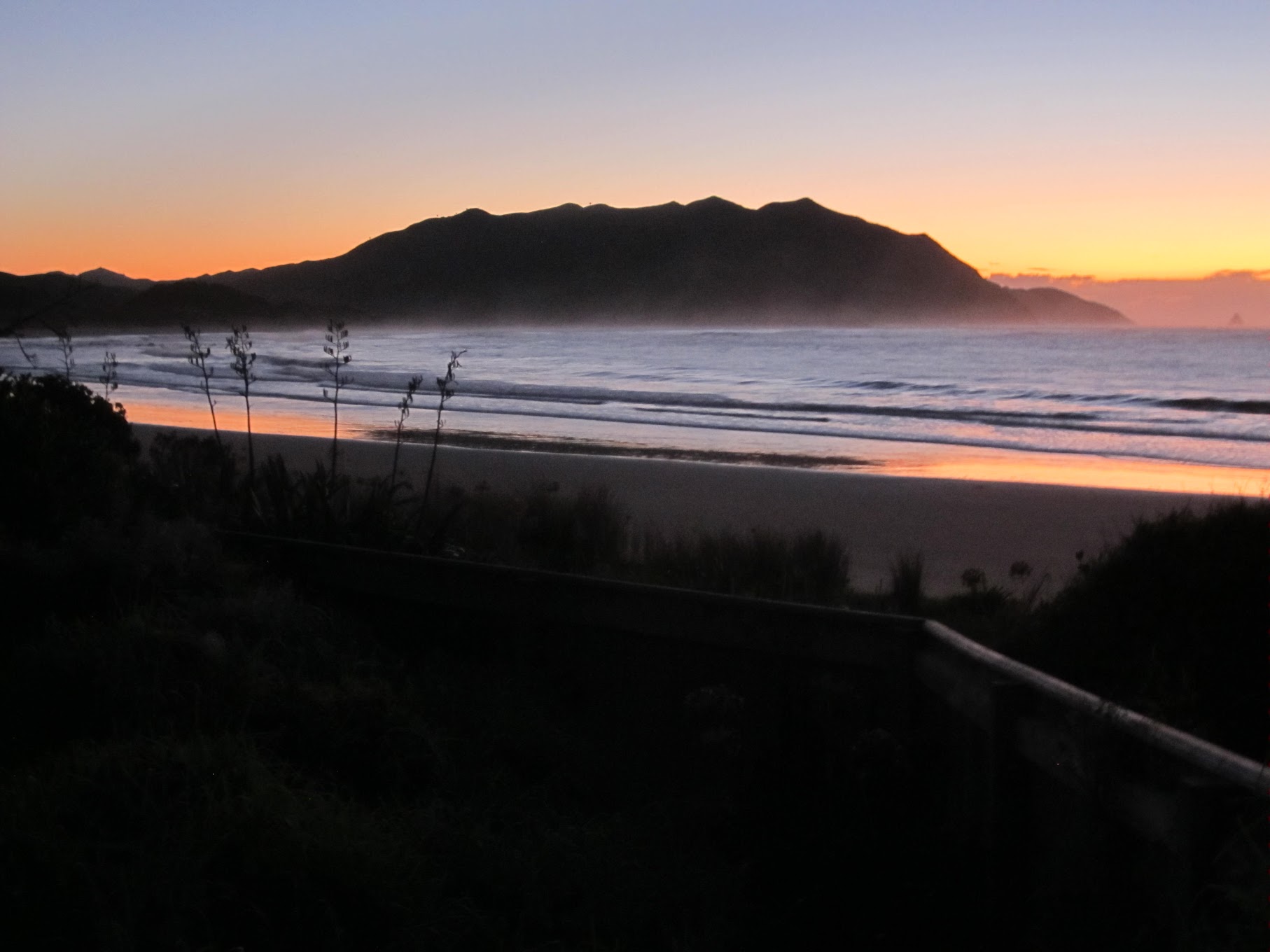 Mount Hikurangi – Ruakumara Forest Park (Stragglers, Stunning Views ...