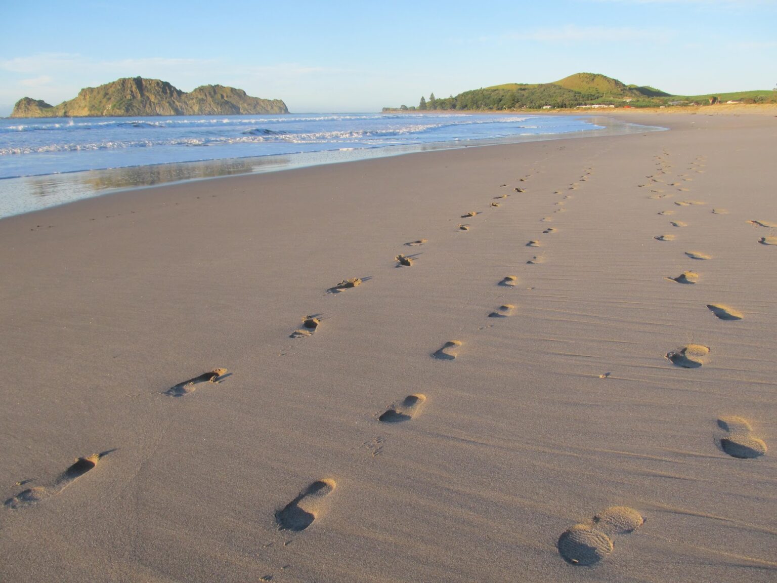 Mount Hikurangi – Ruakumara Forest Park (Stragglers, Stunning Views ...