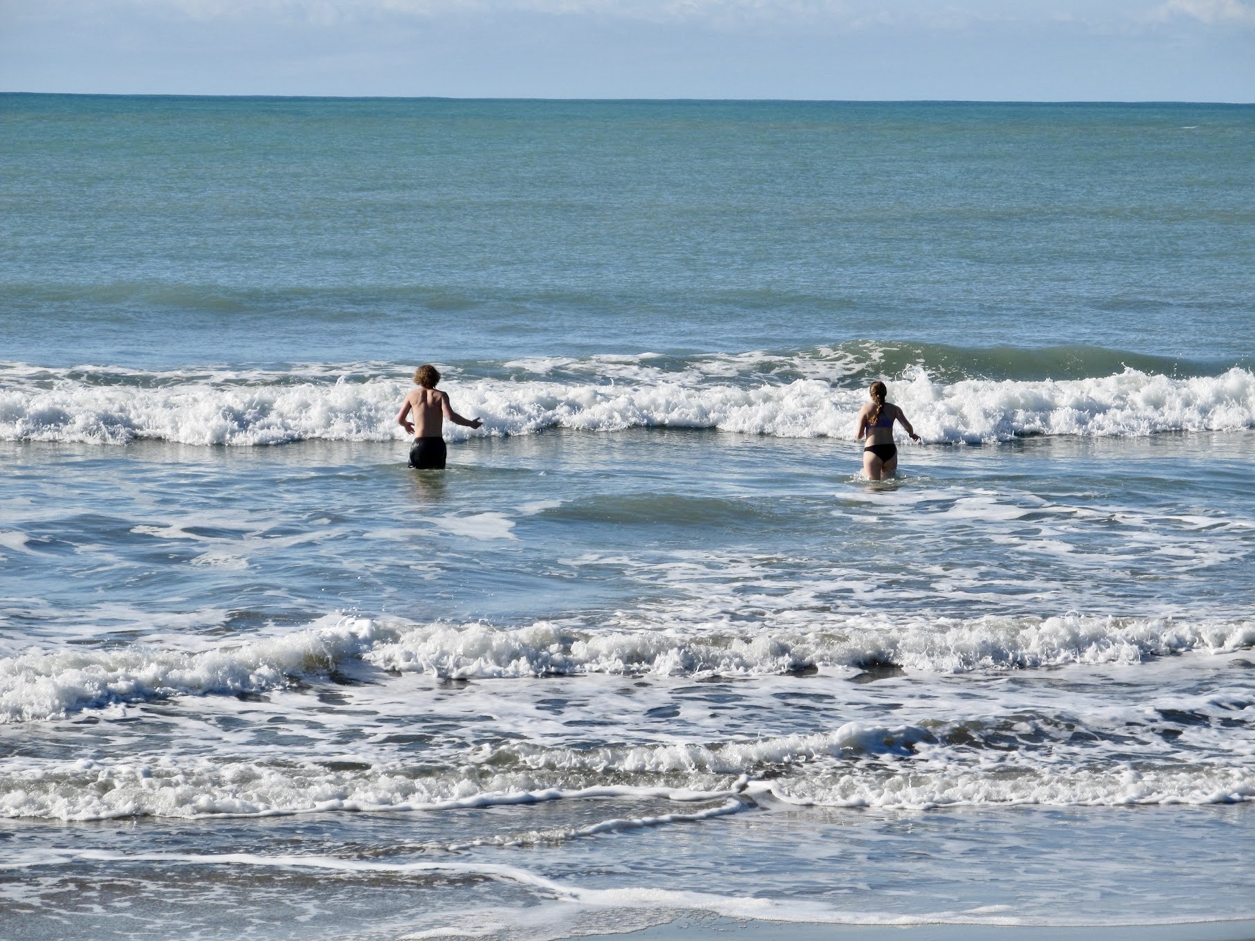 Mount Hikurangi – Ruakumara Forest Park (Stragglers, Stunning Views ...