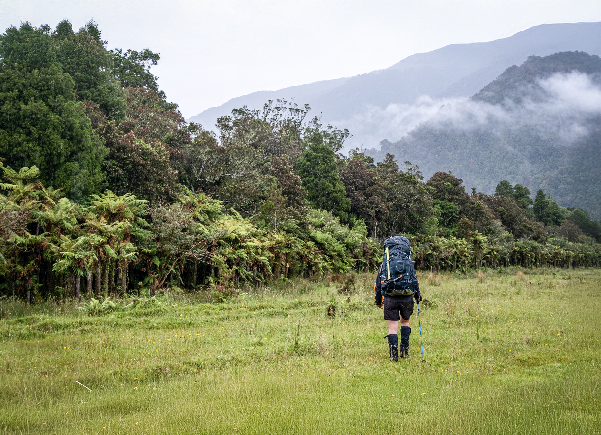 Garden-of-Eden-starting-up-Perth-Valley – Wellington Tramping and ...