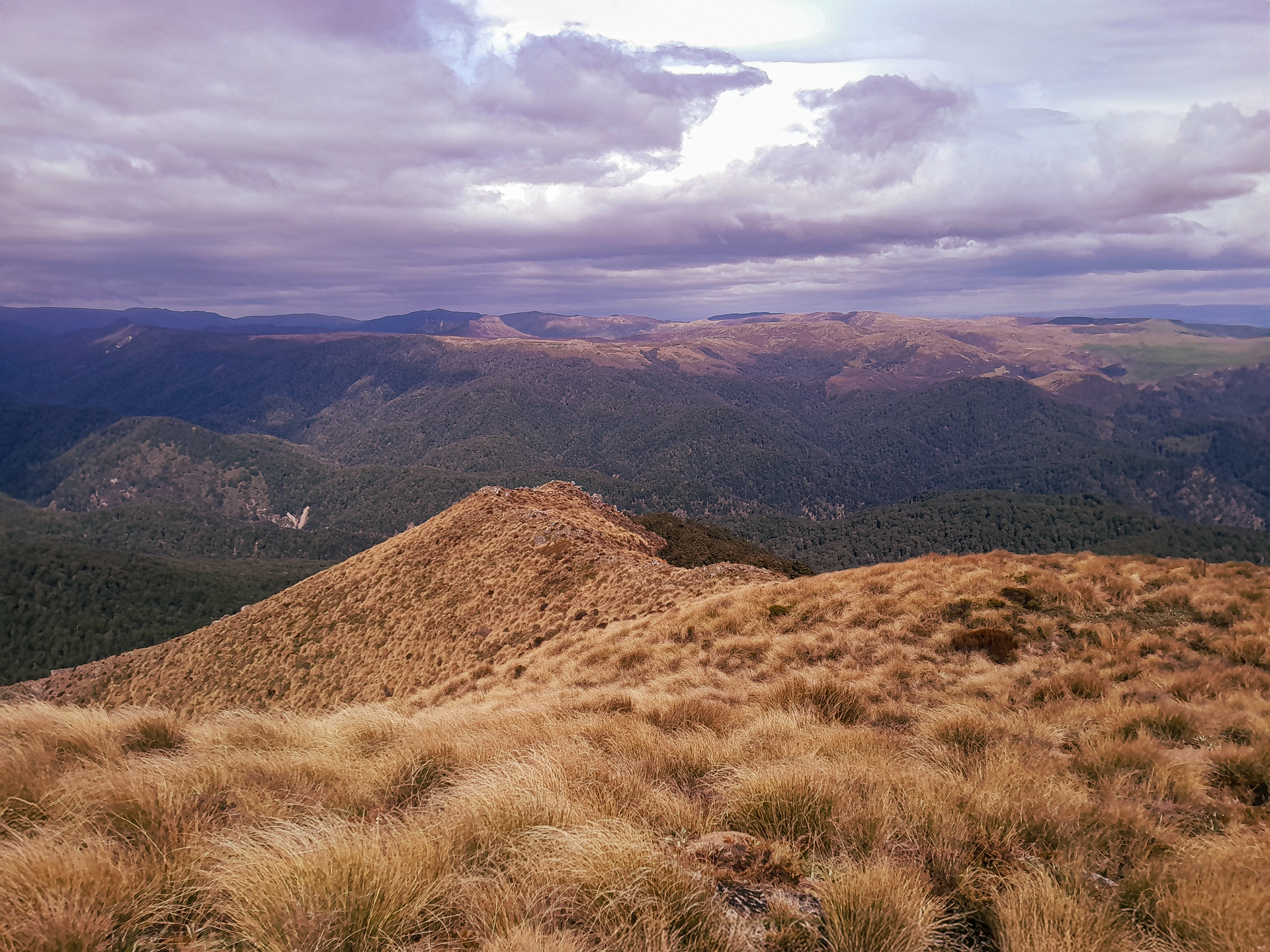 On-the-tops-of-the-Ruahine-Range – Wellington Tramping and ...