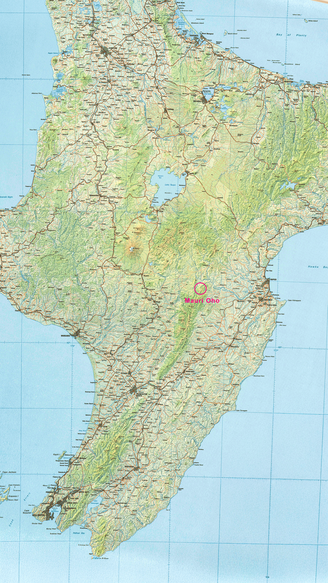 Protecting Whio | The Fight for Survival in the Ruahine Range ...